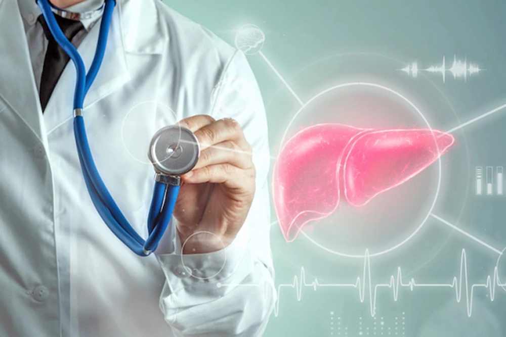 Hígado Graso Cirrosis Y Hepatitis Factores De Riesgo De Cáncer De Hígado El Periódico Usa